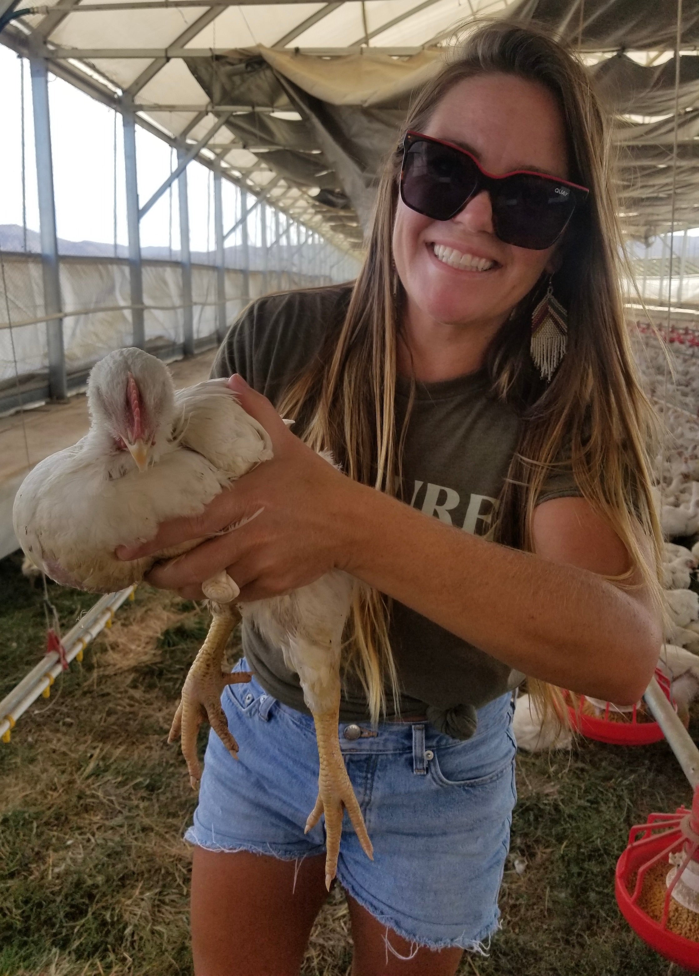 The Top 5 Benefits of Pasture Raised Chicken – Pasturebird